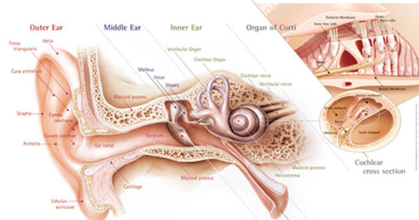 Diagnosis and testing – East Sussex Healthcare NHS Trust